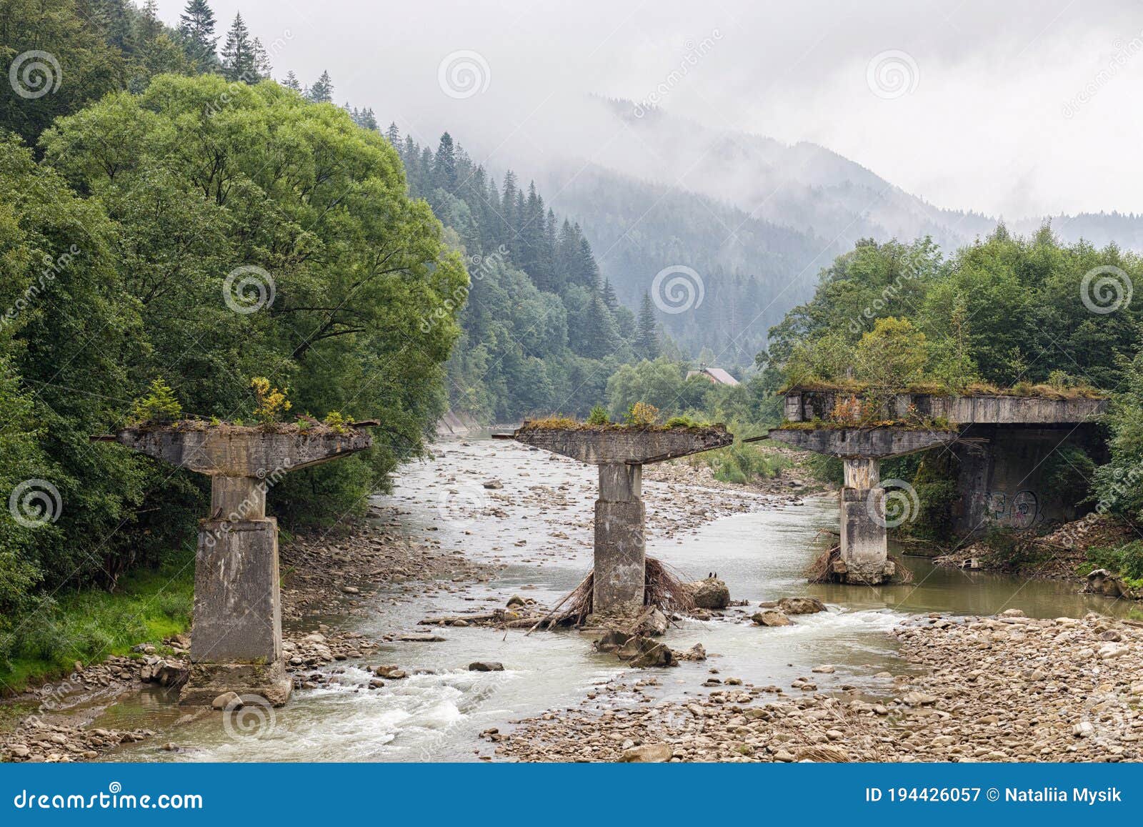 Collapsed Bridge Standing on a Mountain River Stock Image - Image of ...
