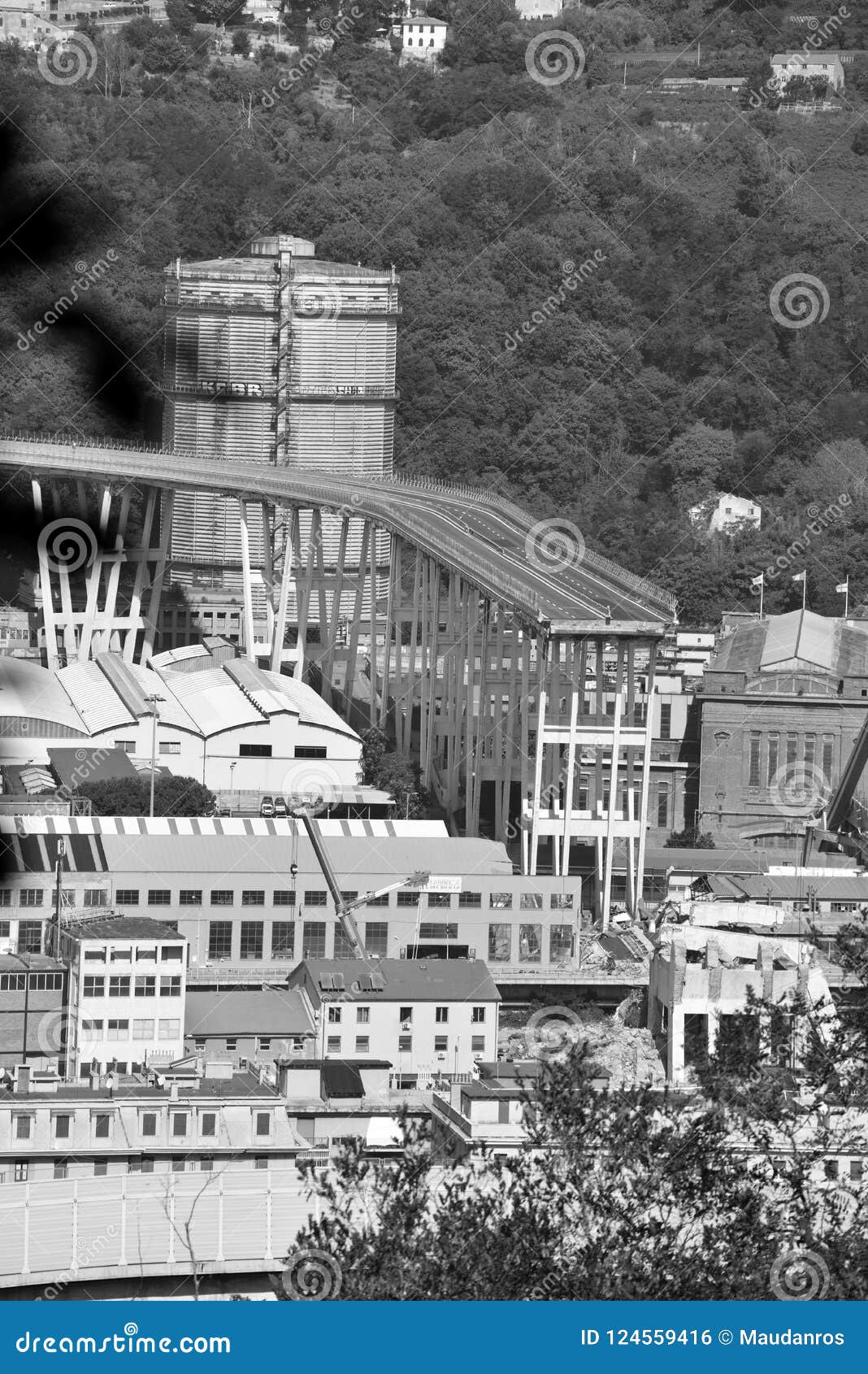 Collapsed Ponte Morandi Genoa Italy Editorial Photo - Image of disaster ...