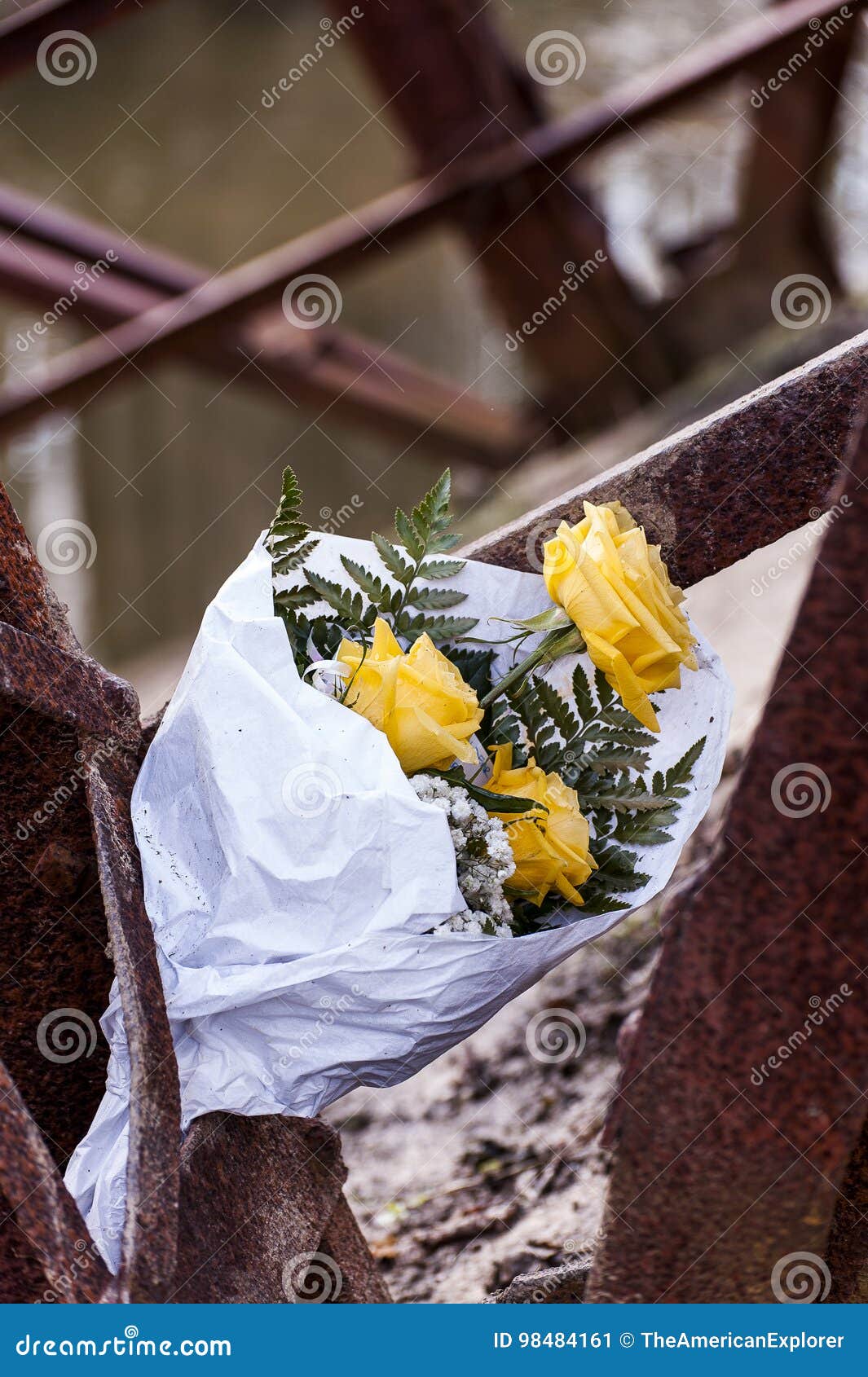 Collapsed Steel Truss Bridge Aftermath Stock Image - Image of grassy ...