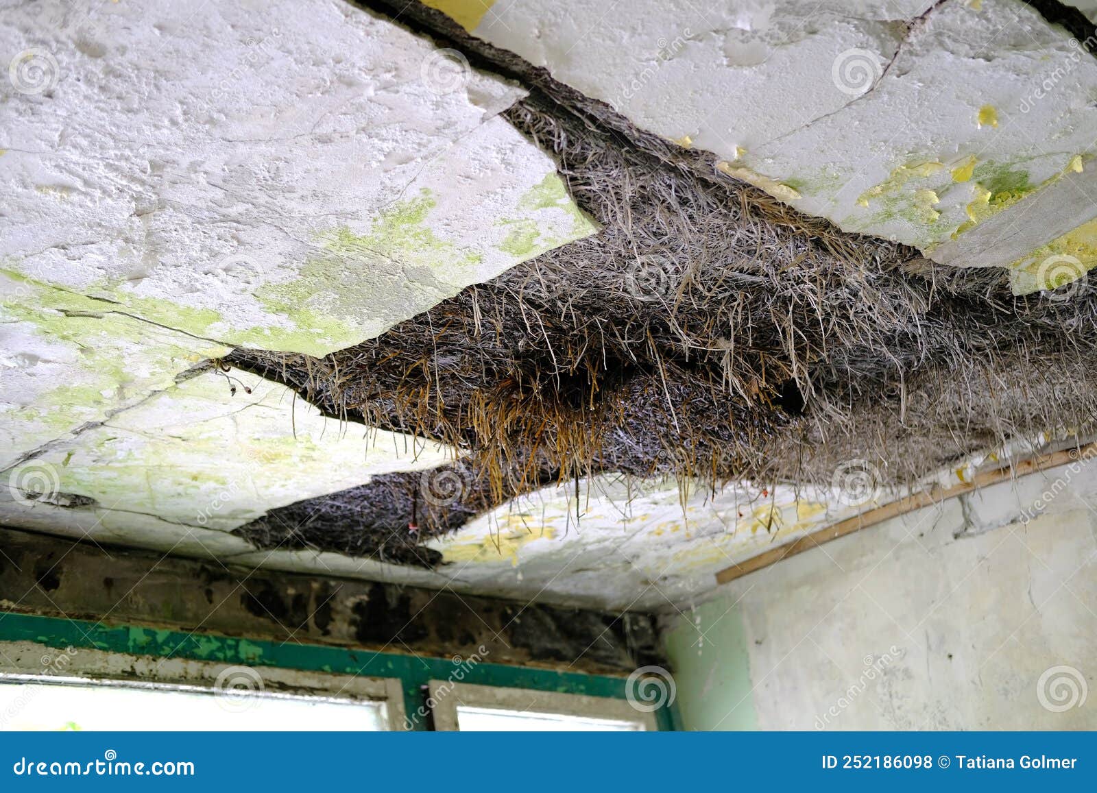 Collapsing House with Collapsed Ceiling, Cracks, Concept of Destruction ...