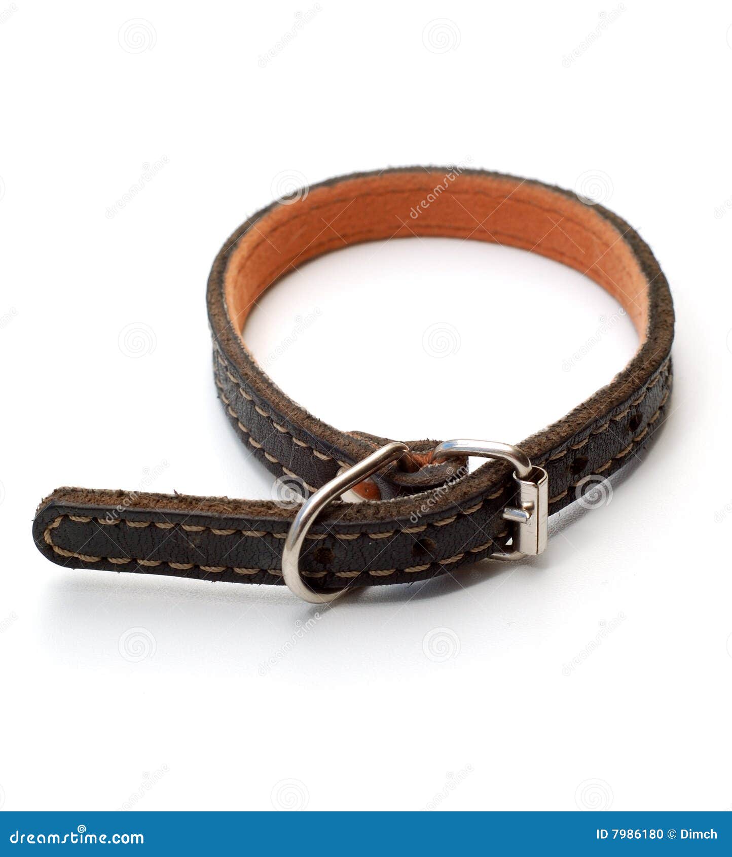 Collar stock photo. Image of buckle, closeup, neck, background - 7986180