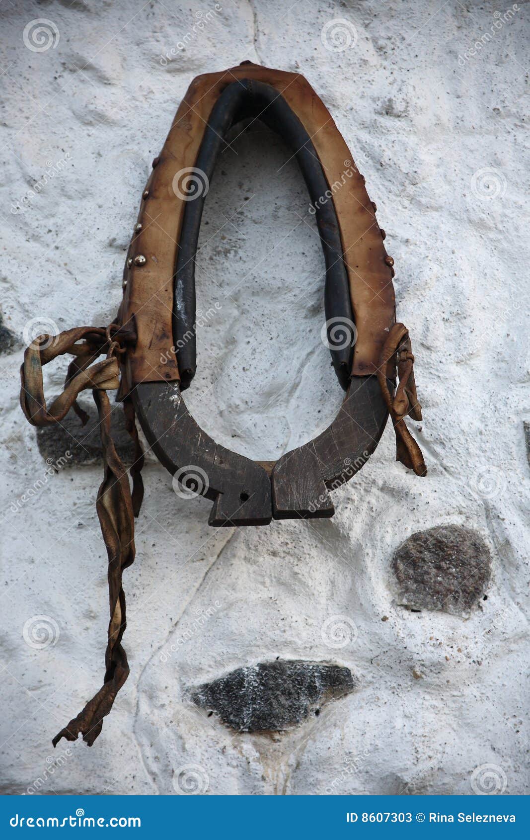 Collar stock image. Image of rural, style, interior, leather - 8607303