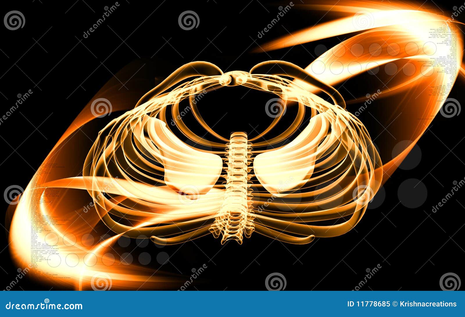 Collar bone stock illustration. Illustration of effects - 11778685