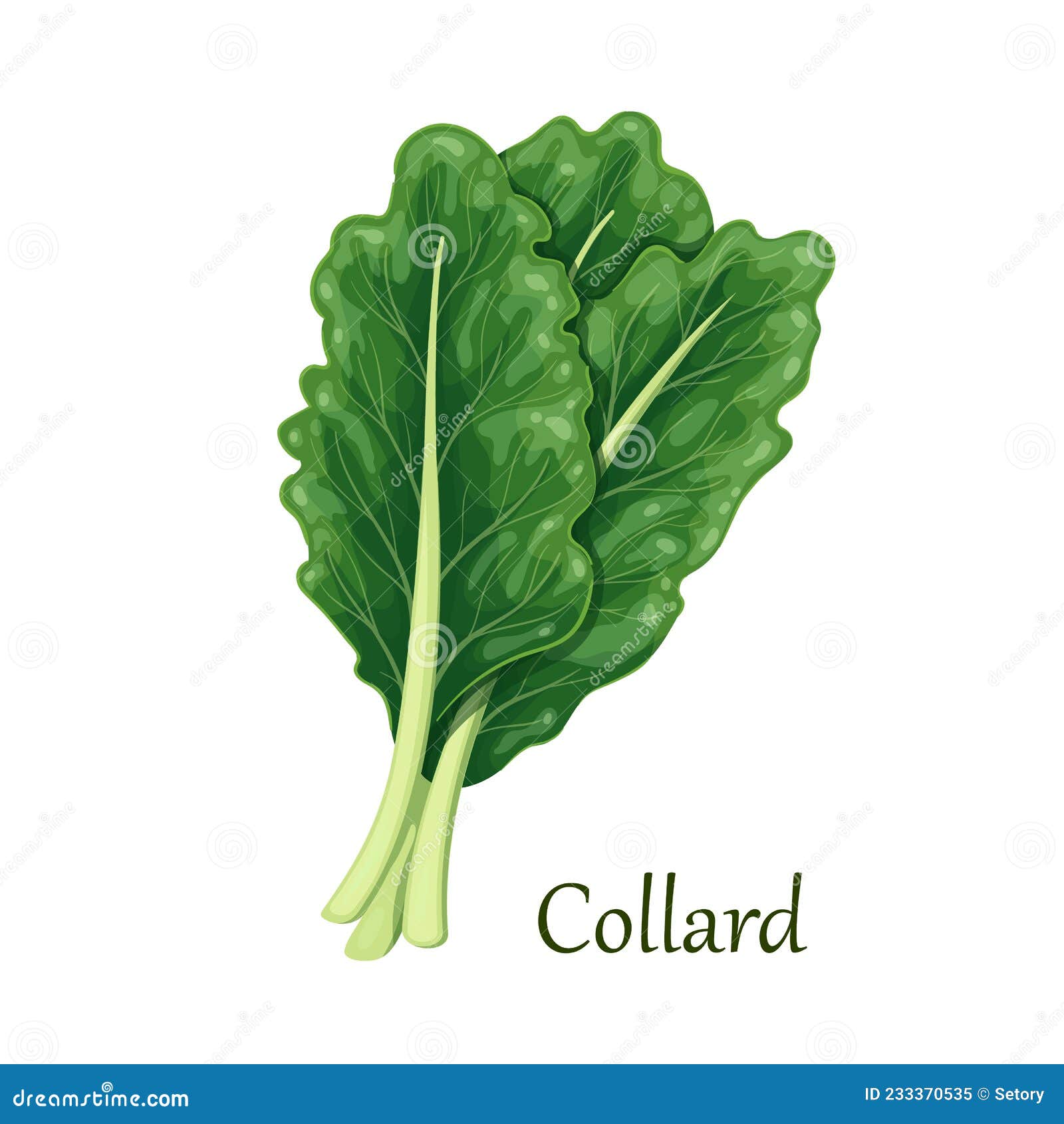 Collard Cartoons, Illustrations & Vector Stock Images - 2176 Pictures ...