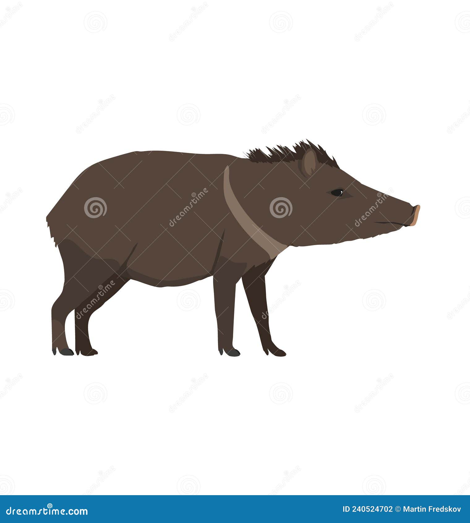 Collared Peccary Vector. Wild Boar Sketch Illustration. Hand Drawn Pig ...