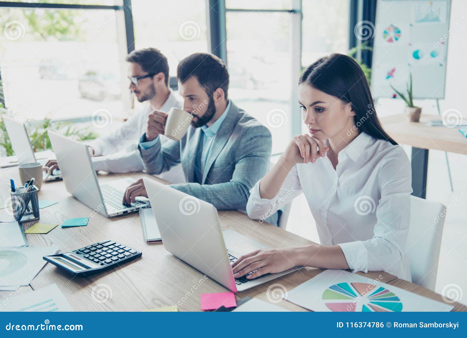 Colleagues are Concentrated on Their Work, Finding the Solutions Stock ...