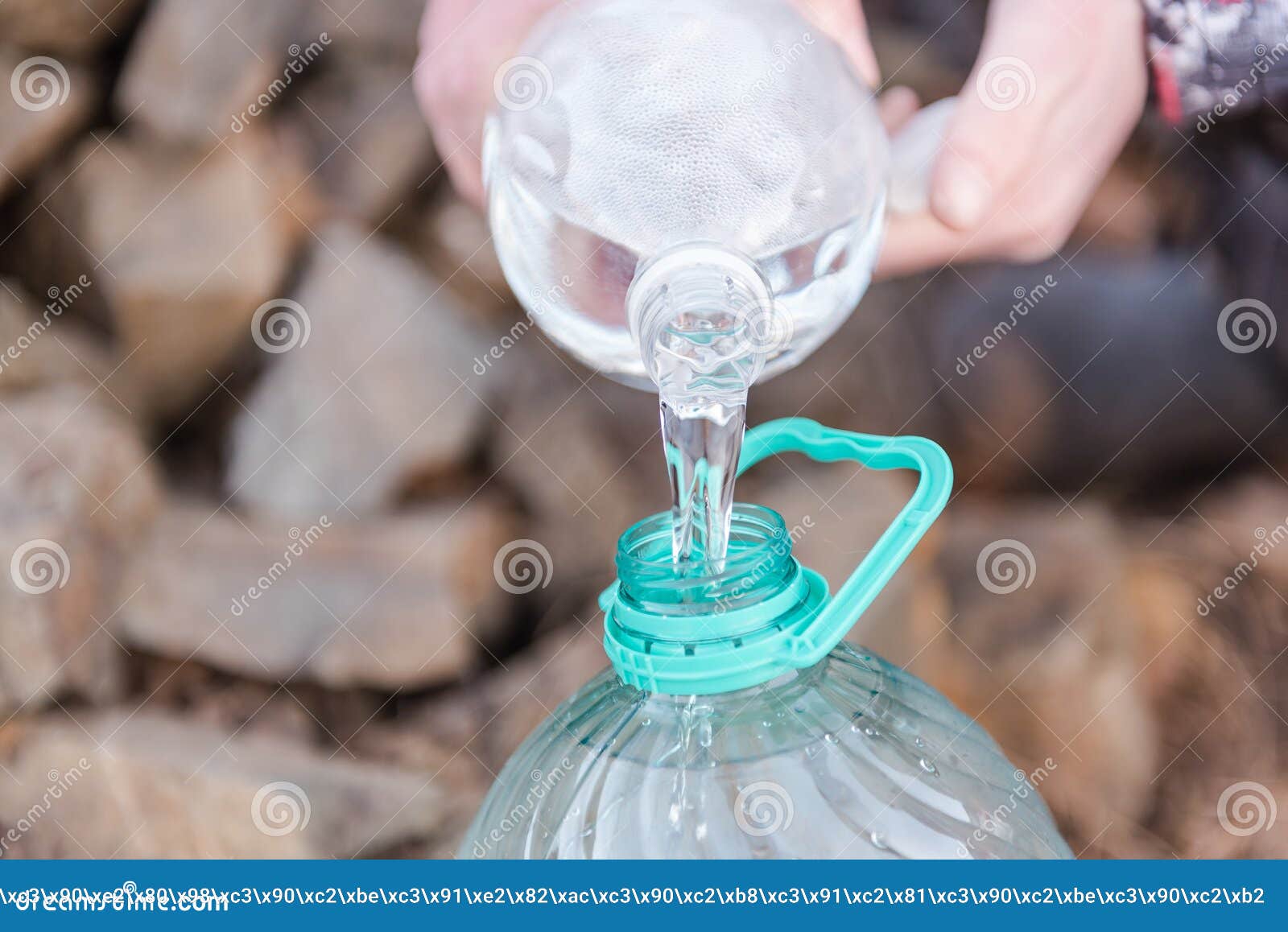 Collect Birch Sap. Juice from a Tree. Season Stock Image - Image of ...