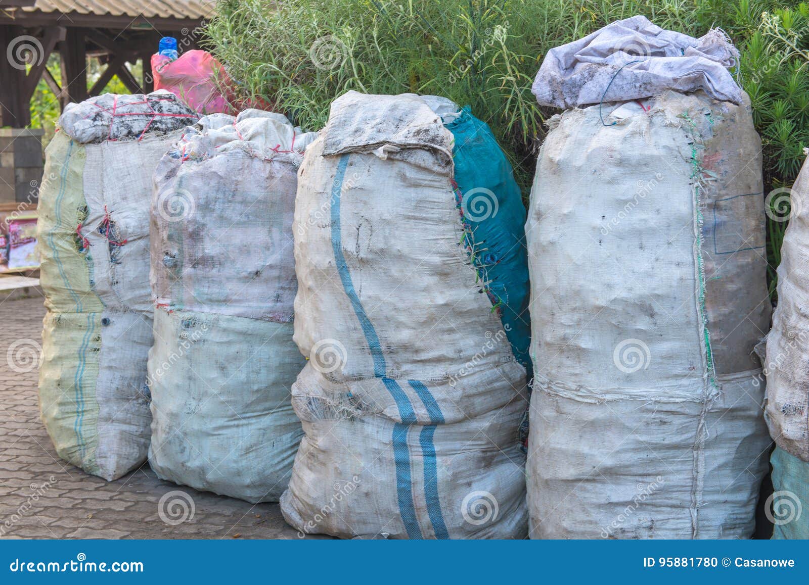Collect Garbage in the Garbage Sack Bag Stock Photo - Image of sack ...