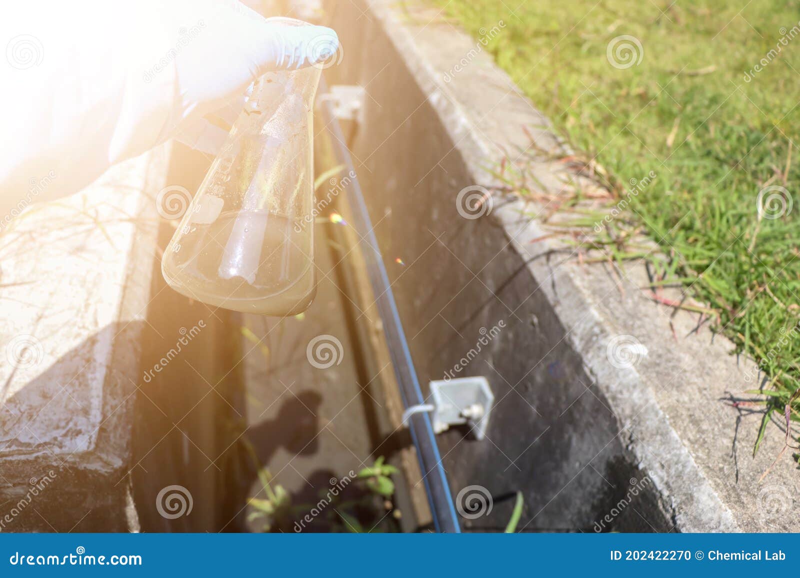 Collect water samples stock photo. Image of closeup - 202422270