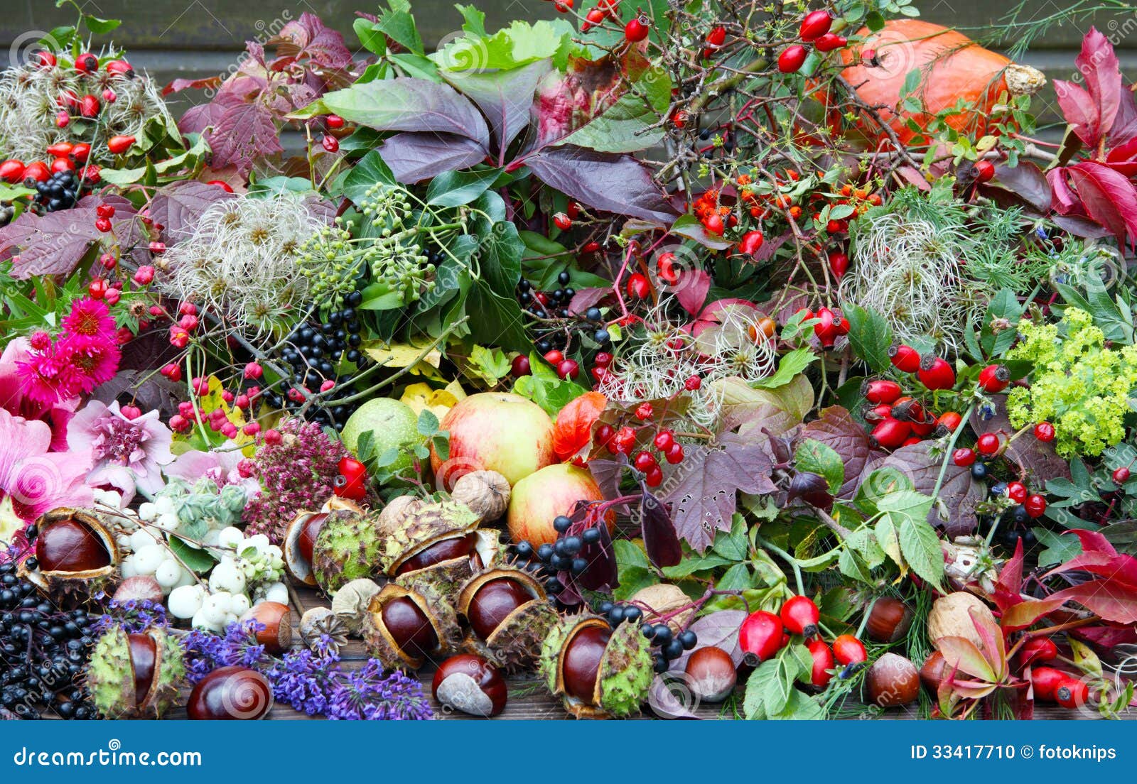 Collected Autumn Treasures, Floristry Stock Photo - Image of ...