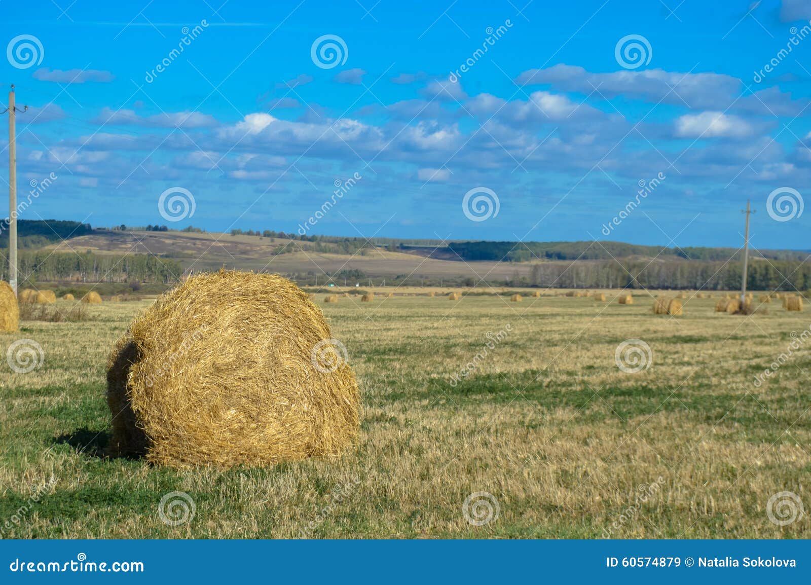 Collected in Stacks of Hay in the Field. Stock Image - Image of ...