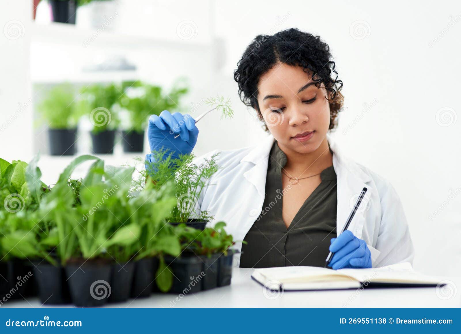 Collecting and Analyzing Data. a Female Scientist Making Notes while ...