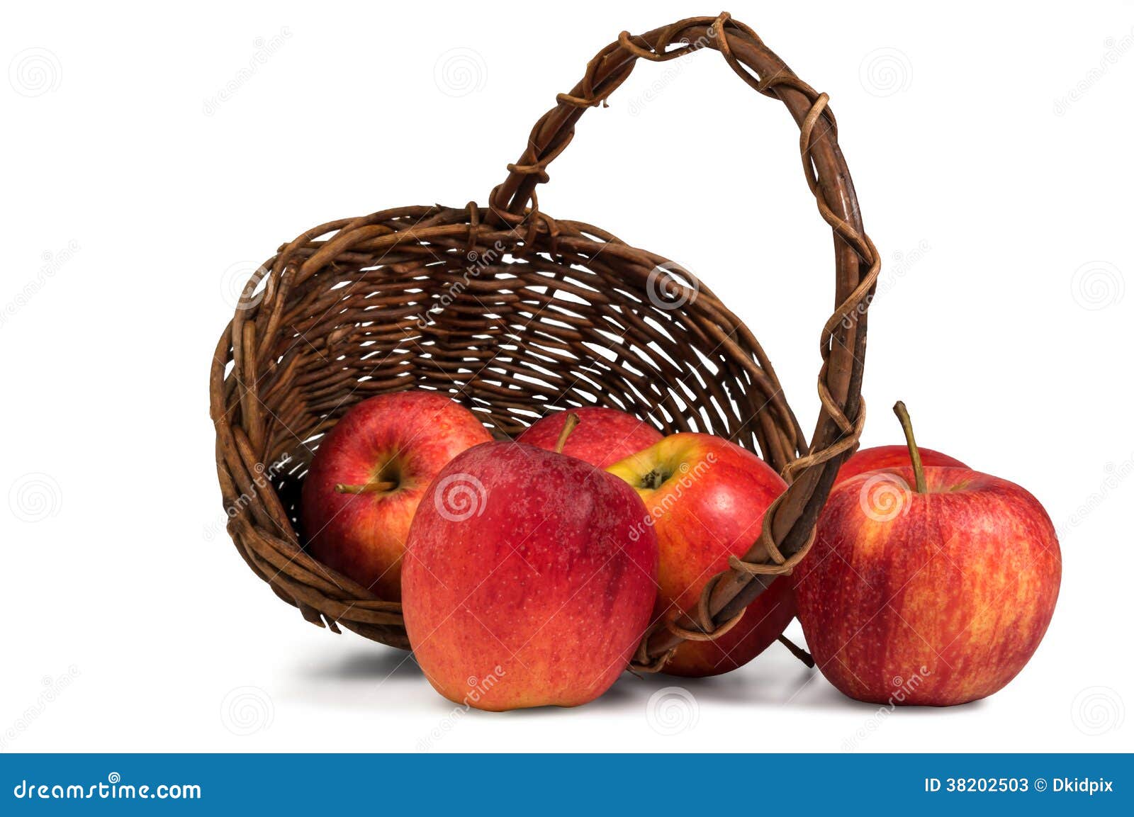 Collecting apples stock image. Image of farming, exotic - 38202503