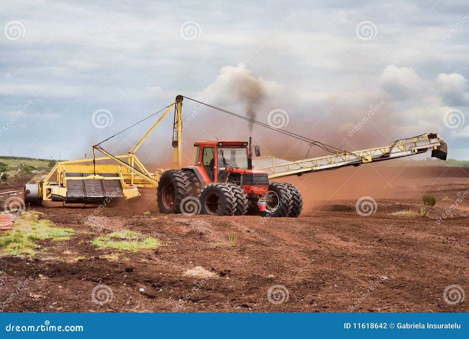Collecting bog stock photo. Image of agriculture, boggy - 11618642