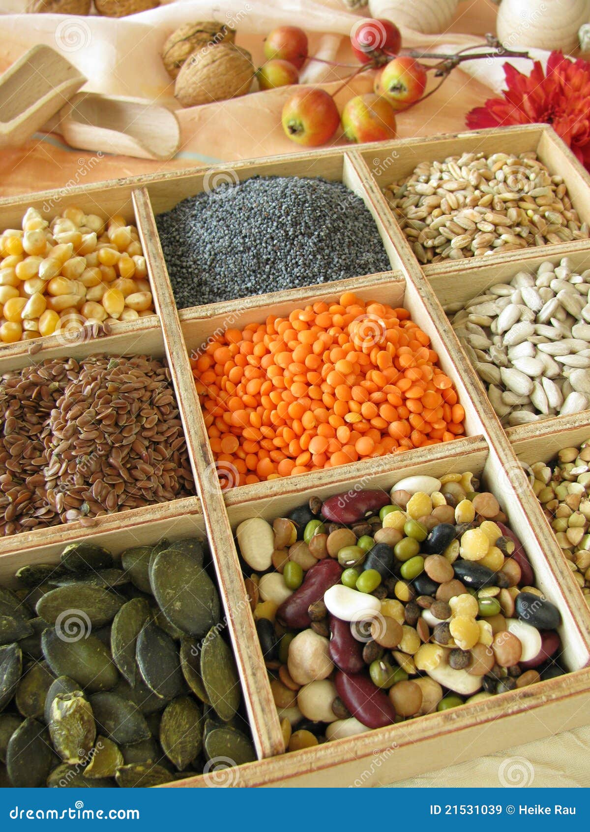 Collecting Box with Ingredients Stock Image - Image of bake, collection ...