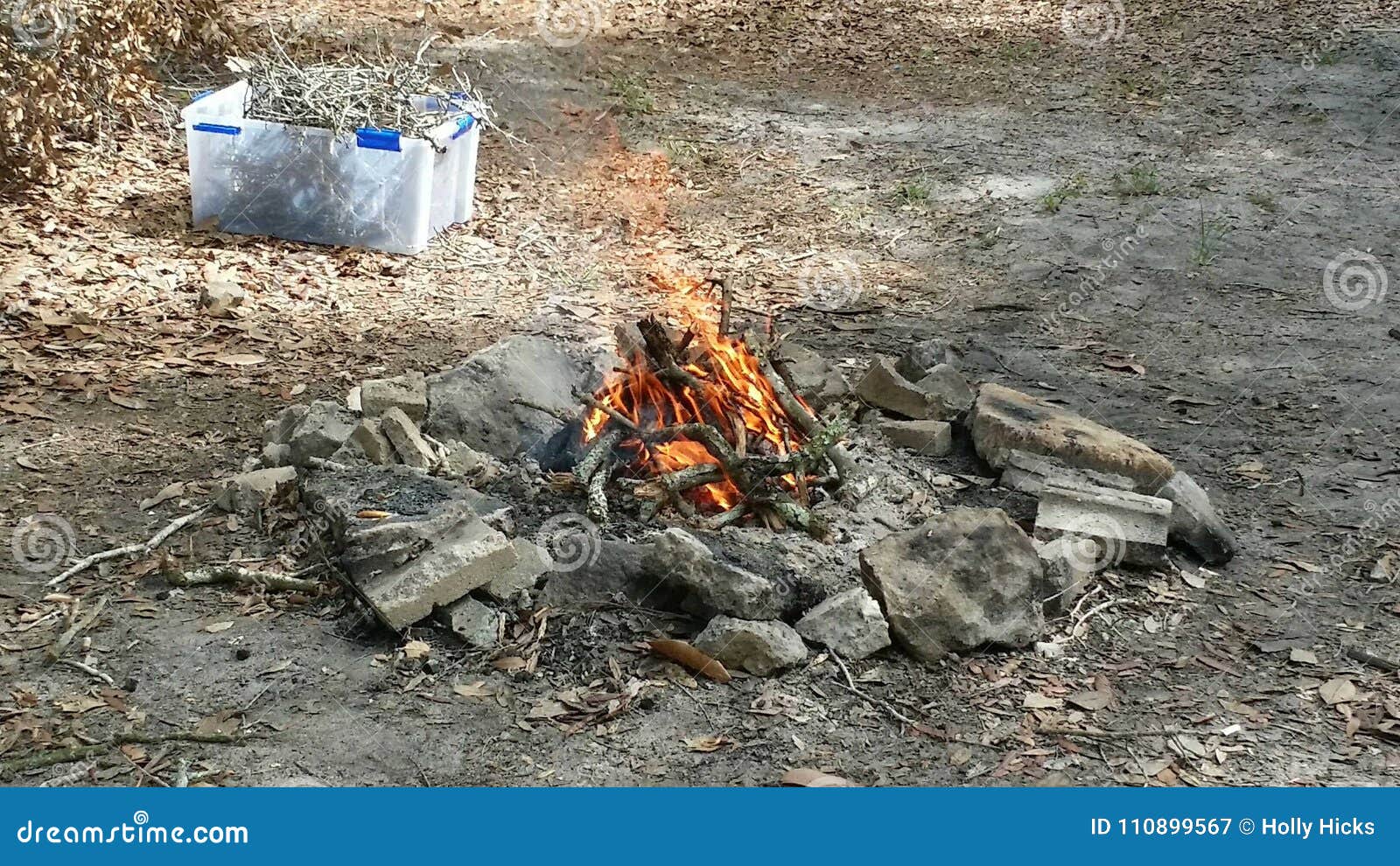 Collecting fire wood stock image. Image of summer, fire - 110899567