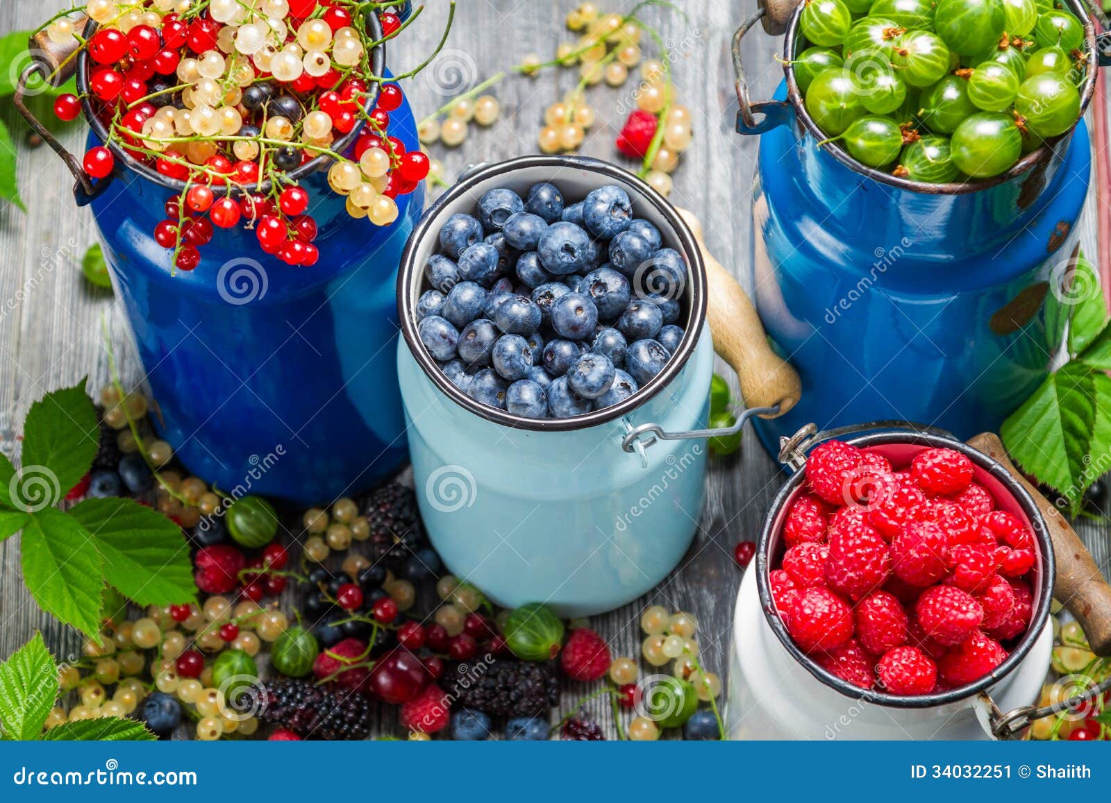 Collecting Fresh Wild Berries Stock Image - Image of drink, collect ...