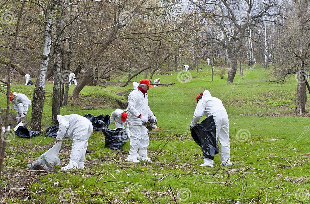 Collecting garbage editorial photography. Image of cleanup - 21305982