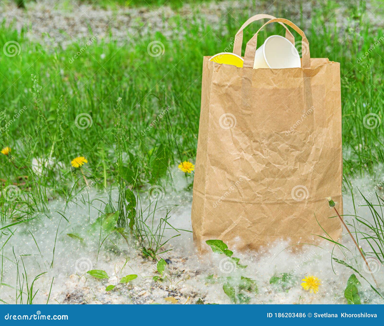 Collecting Garbage Separately. Paper Trash is Packed in a Paper Bag ...