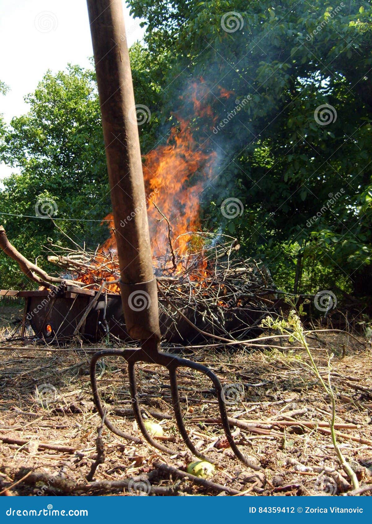 Collecting hay handtool stock photo. Image of tool, countryside - 84359412