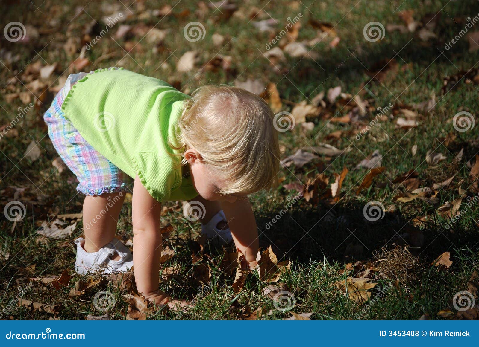 Collecting leaves stock photo. Image of focused, youth - 3453408