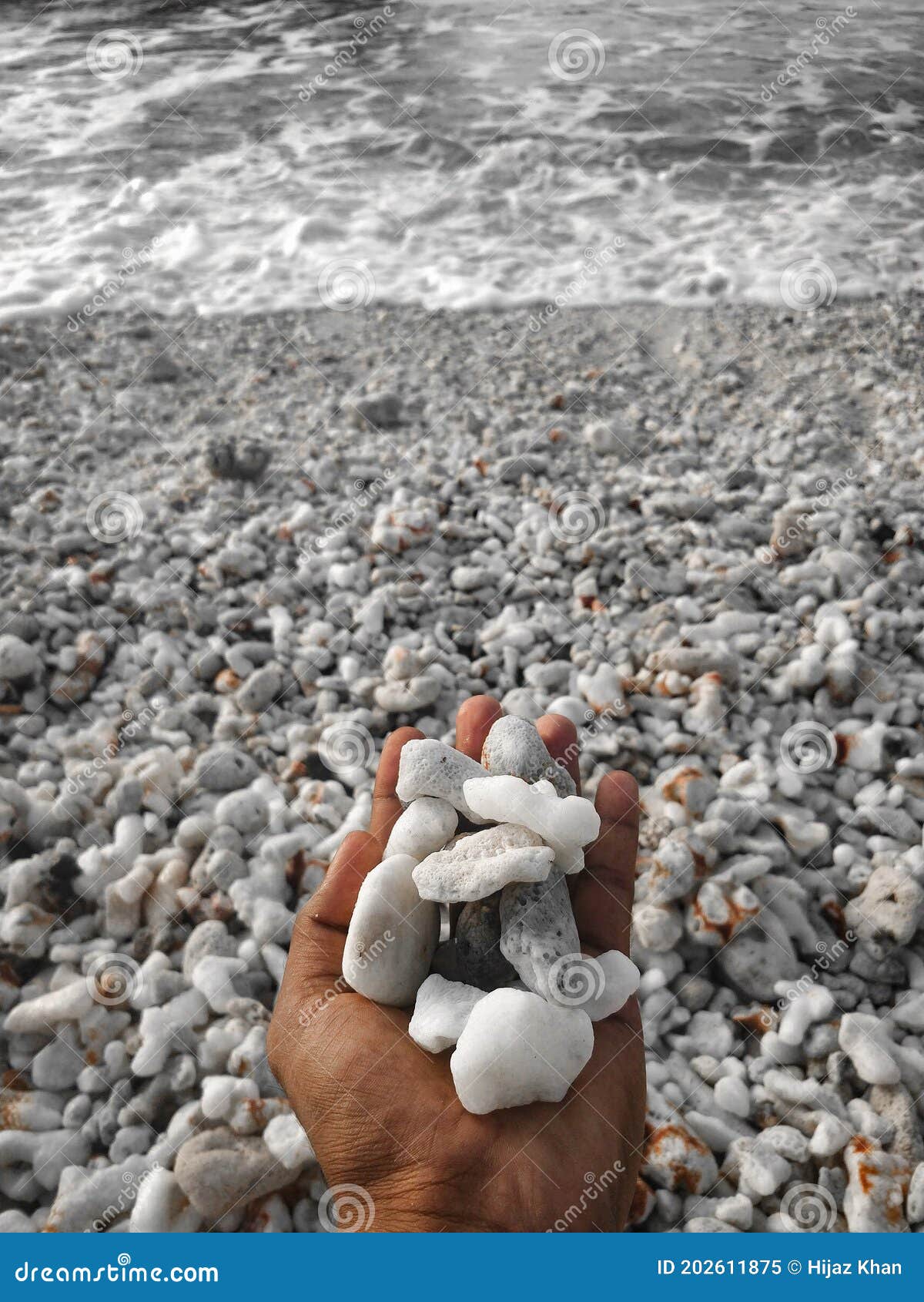 Collecting Pebbles in the Shore Stock Image - Image of winter, wildlife ...