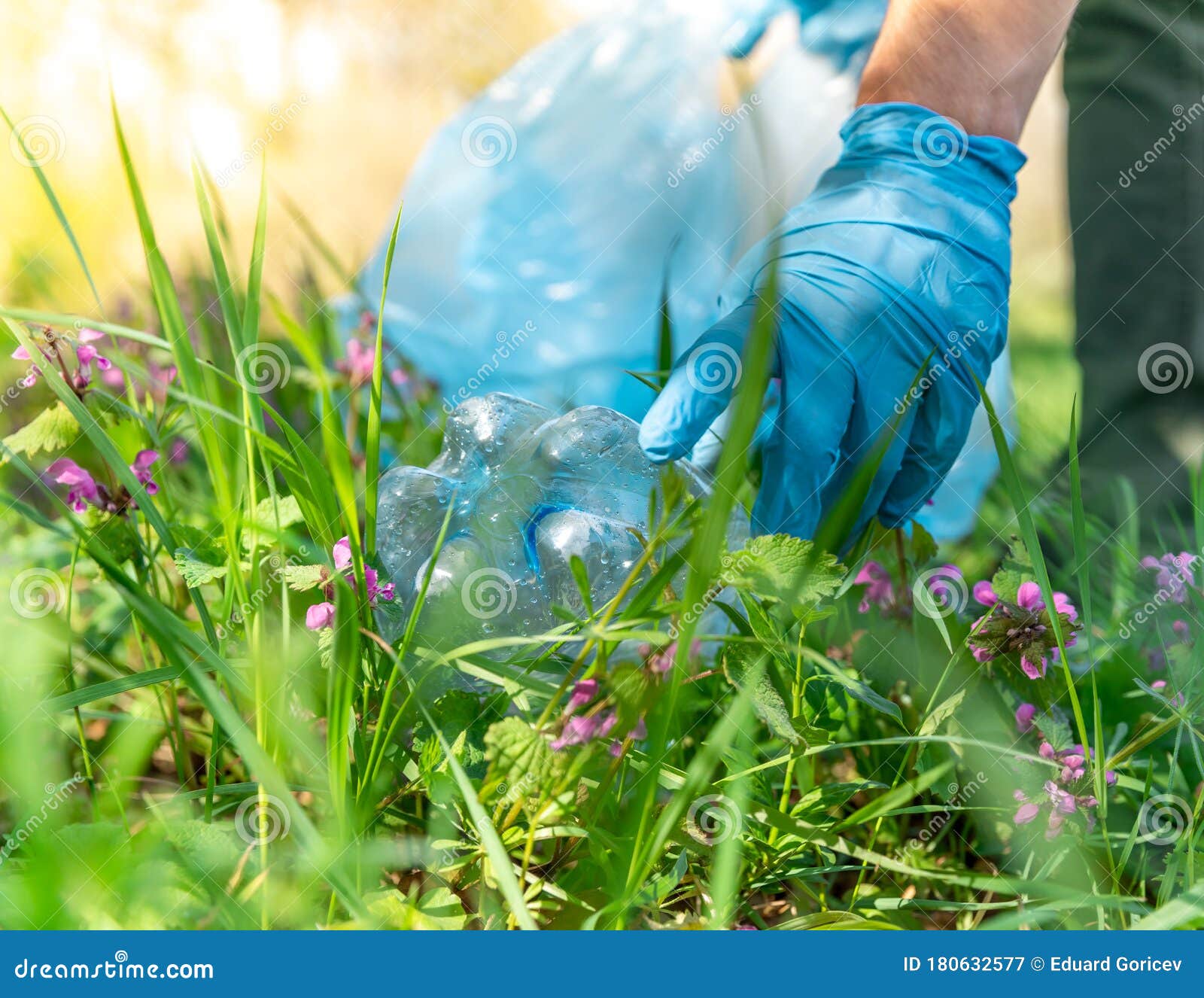 Collecting Plastic in Nature, Cleaning Forests and Meadows Stock Image ...