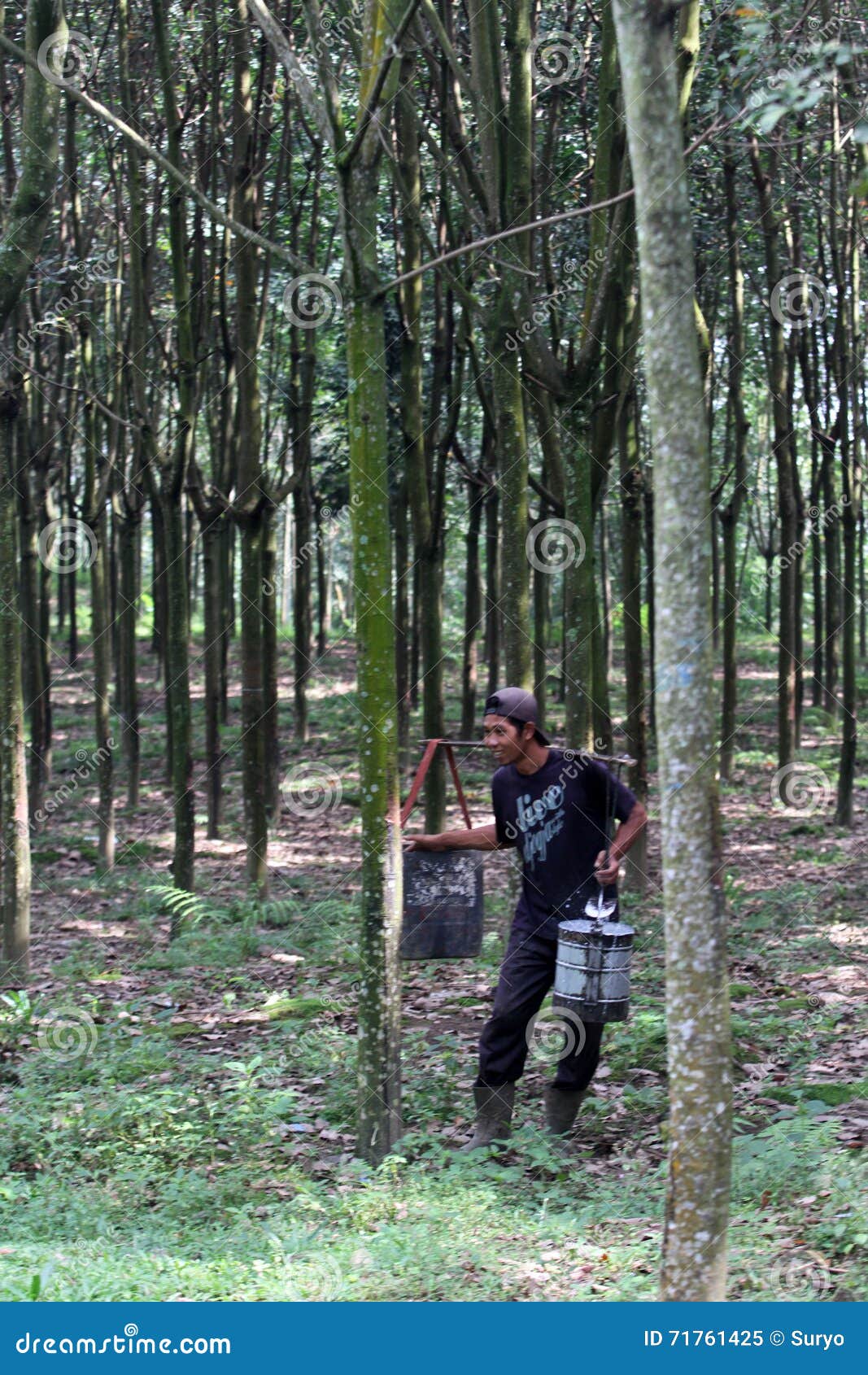 Workers Are Tapping The Plaster To Smooth The Surface Royalty-Free ...