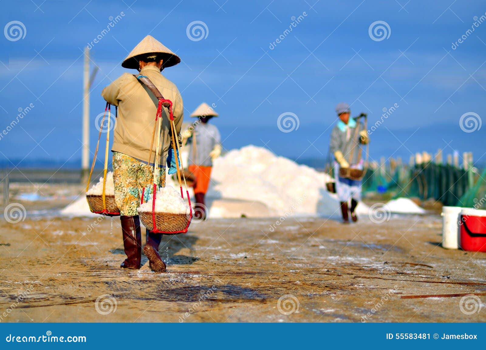 Collecting salt stock image. Image of seafood, crops - 55583481