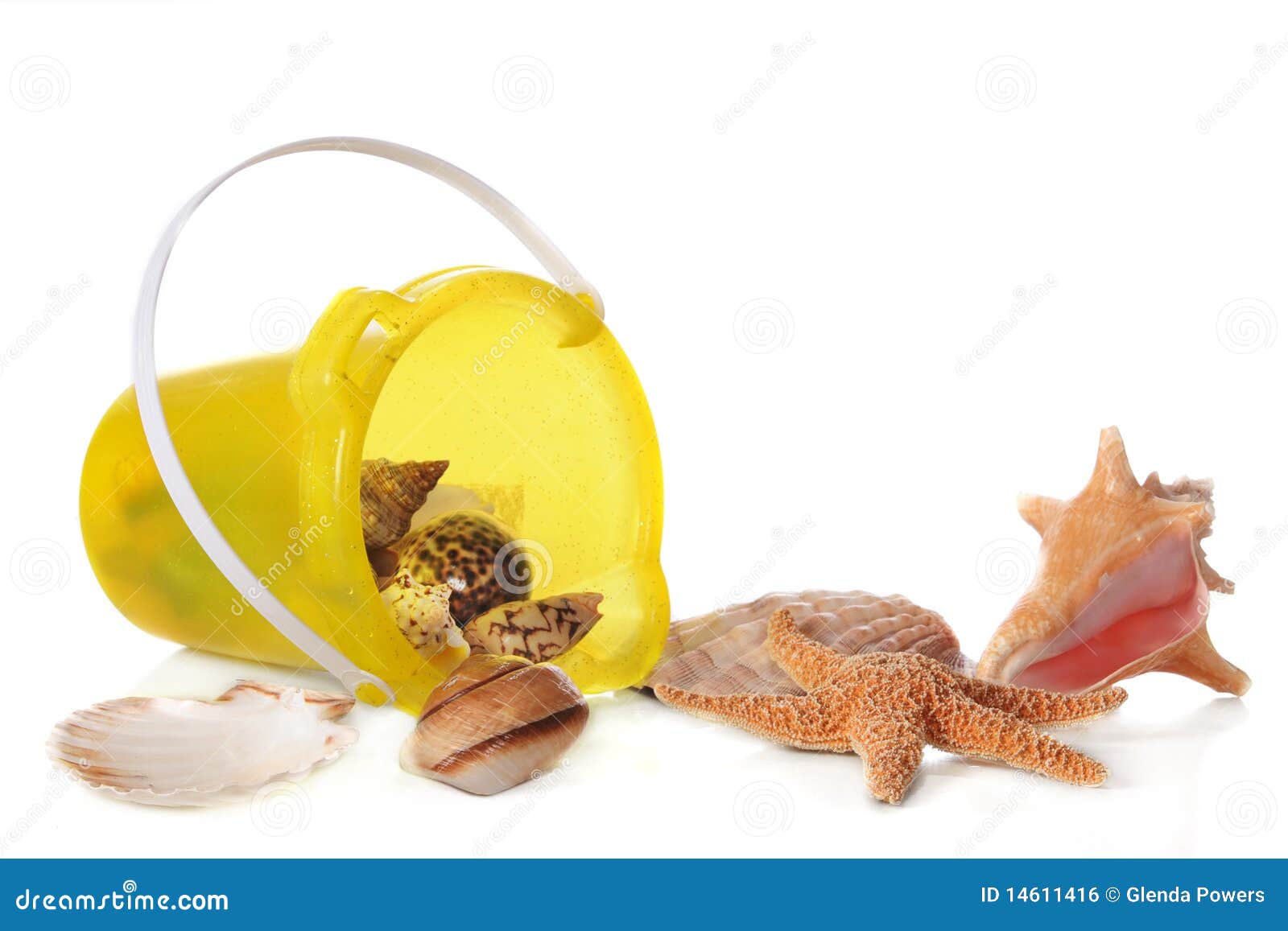 Collecting Sea Shells stock photo. Image of isolated - 14611416