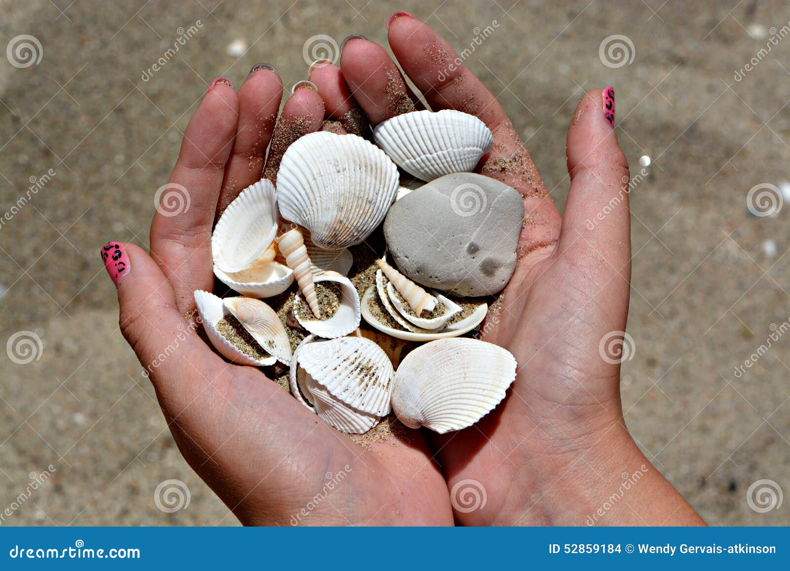 Collecting Seashells stock photo. Image of beach, sand - 52859184
