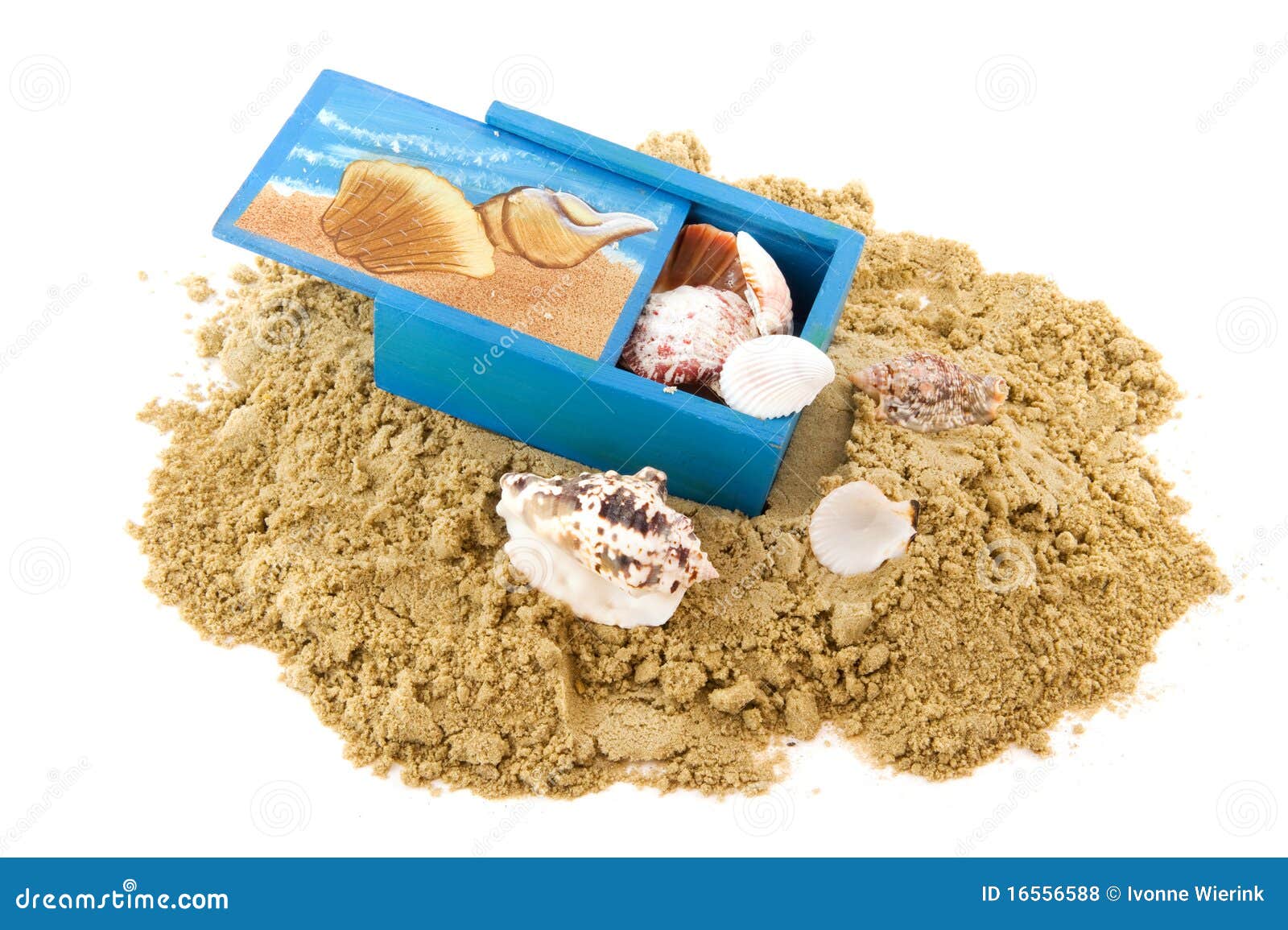 Collecting shells stock photo. Image of blue, travel - 16556588