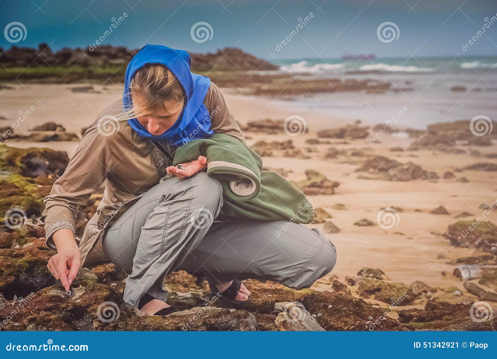 Collecting Shells on the Coast Stock Image - Image of crabs, asia: 51342921