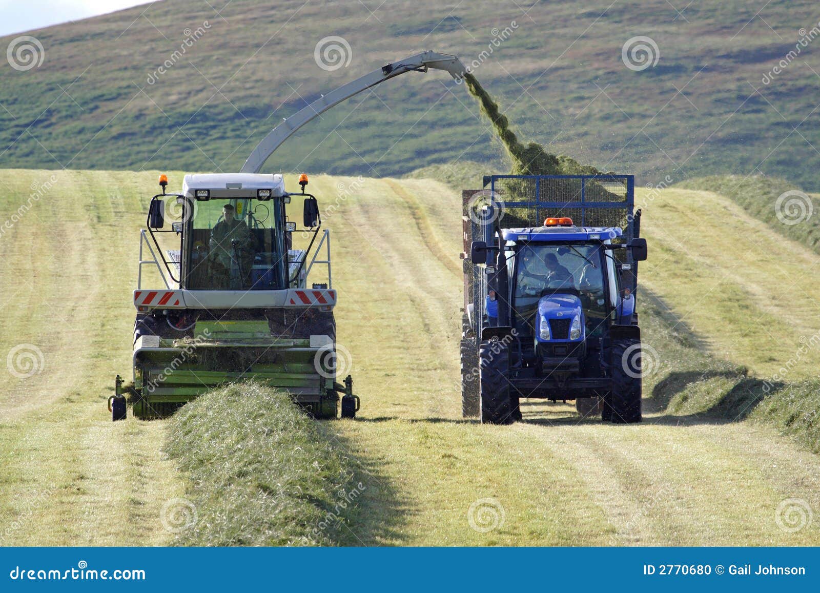 Collecting Silage Photos - Free & Royalty-Free Stock Photos from Dreamstime