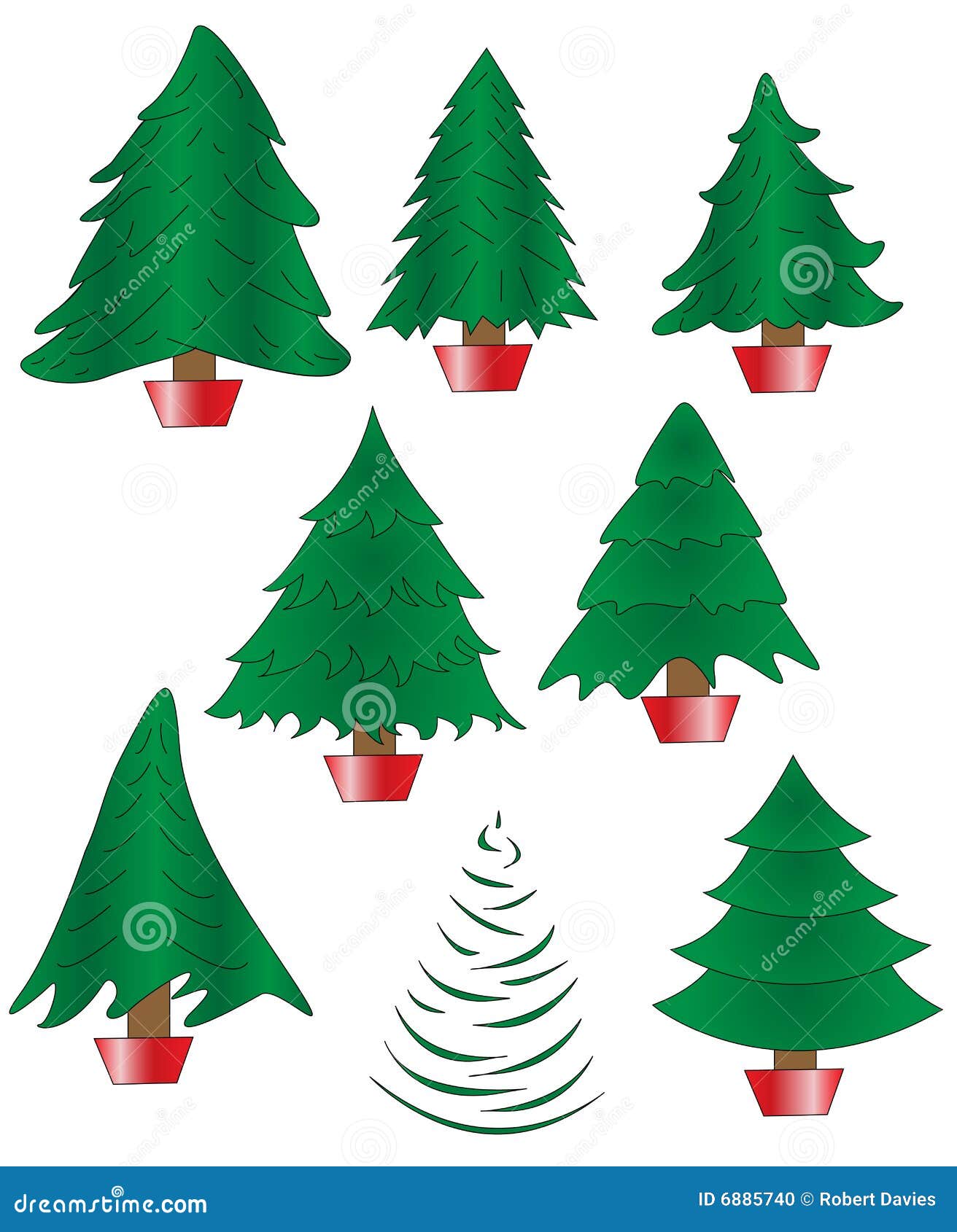 Undecorated Christmas Tree