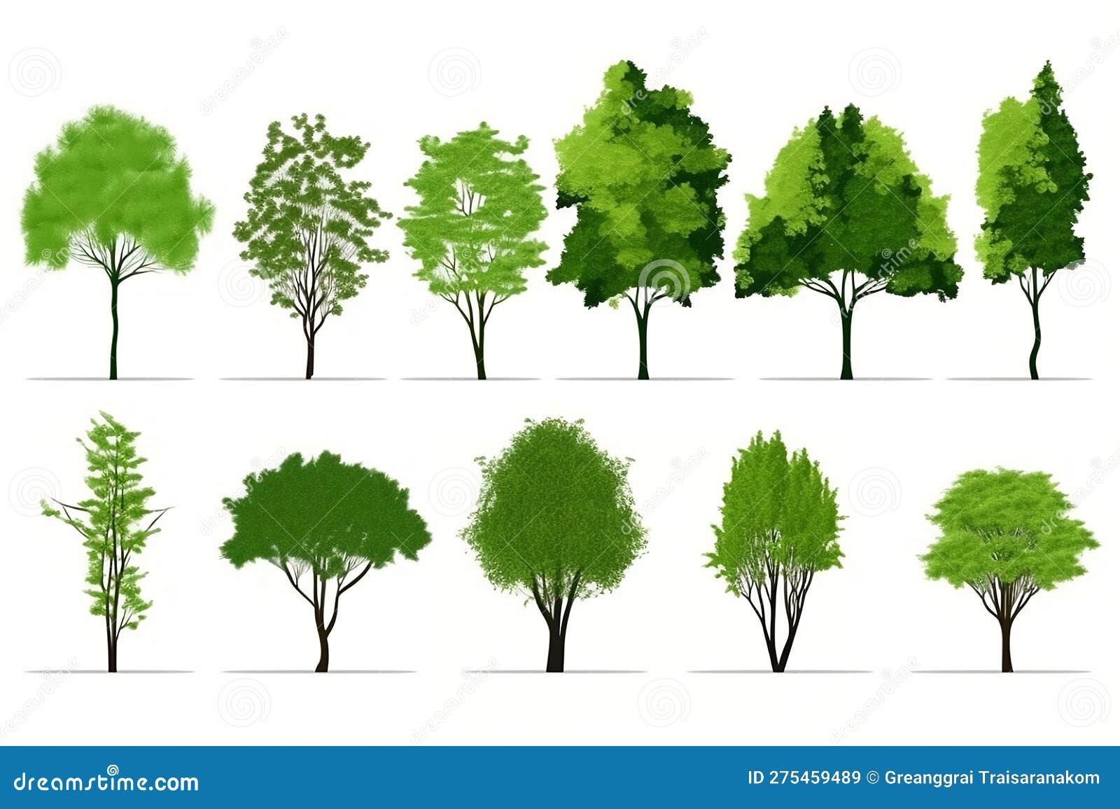 Collection of Abstract Green Tree Side View Isolated on White ...