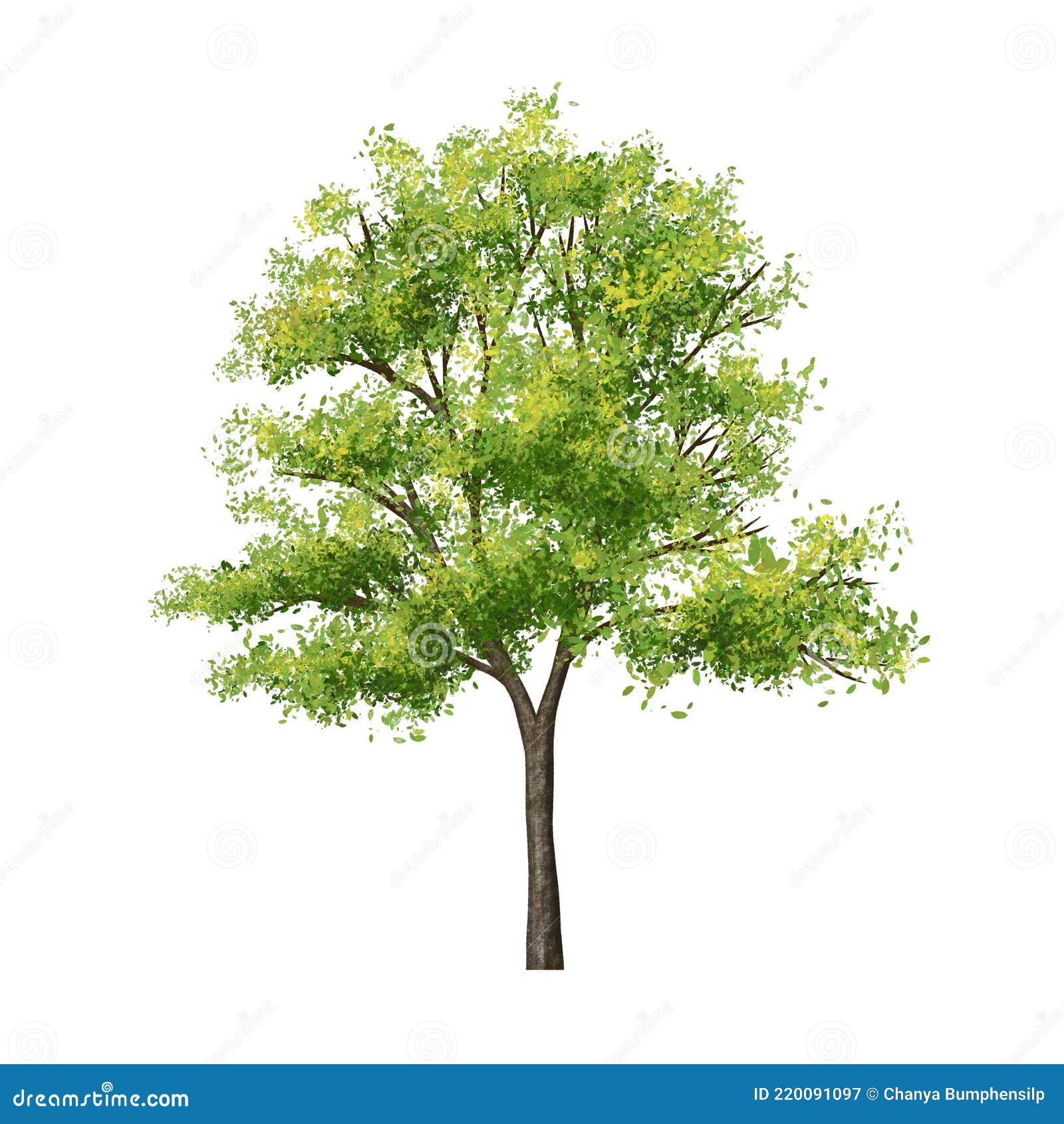 Green Tree Side View Isolated on White Background Stock Illustration ...
