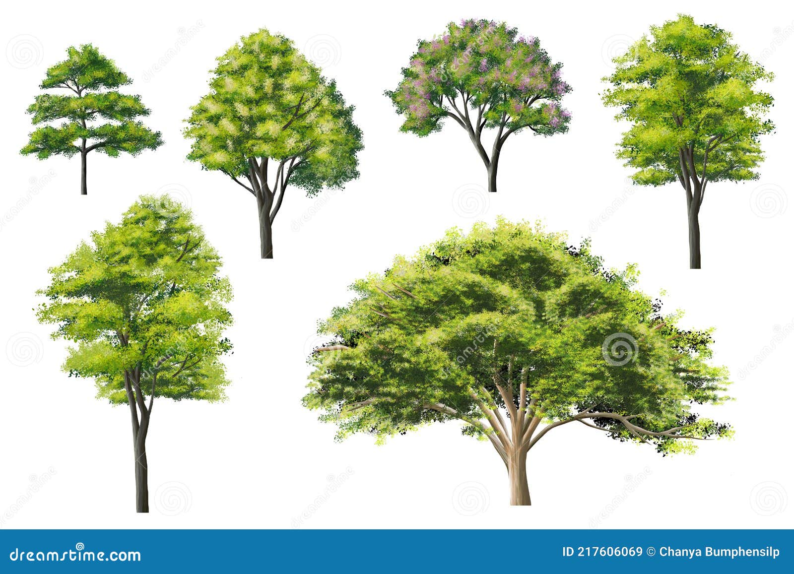 Abstract Green Tree Side View Stock Illustration - Illustration of ...