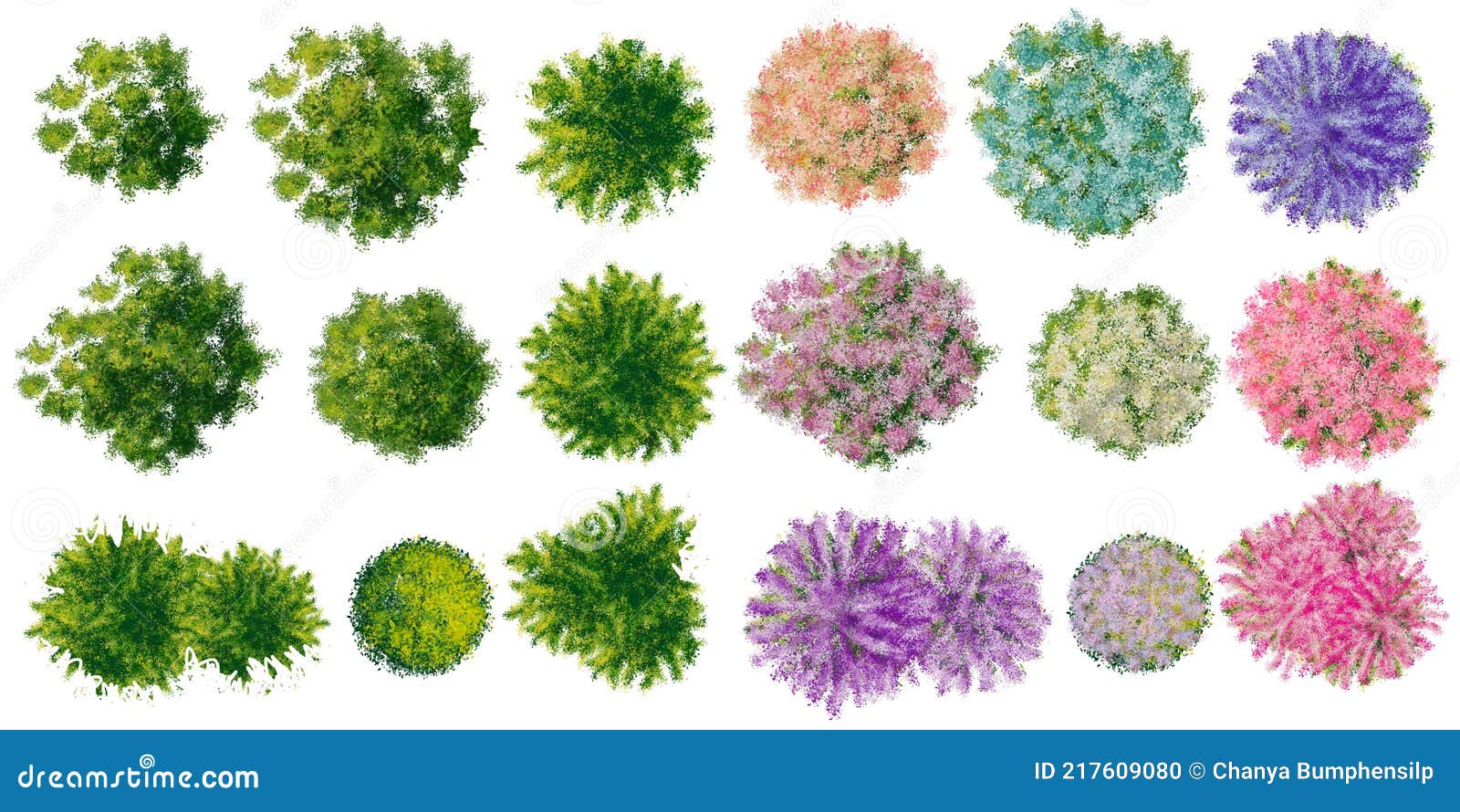 Tree From Top View Isolated On White Background For Architectural ...