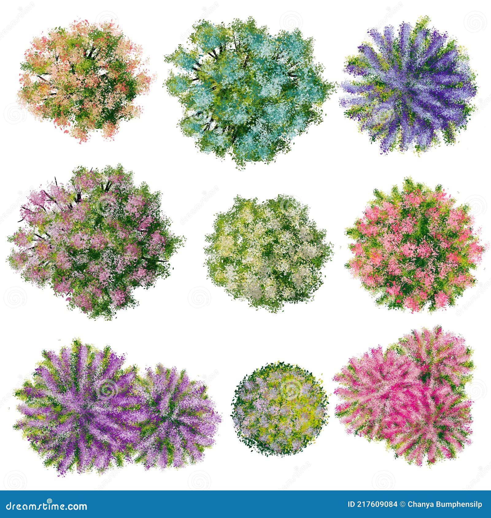 Abstract Green Tree Top View Stock Illustration - Illustration of ...