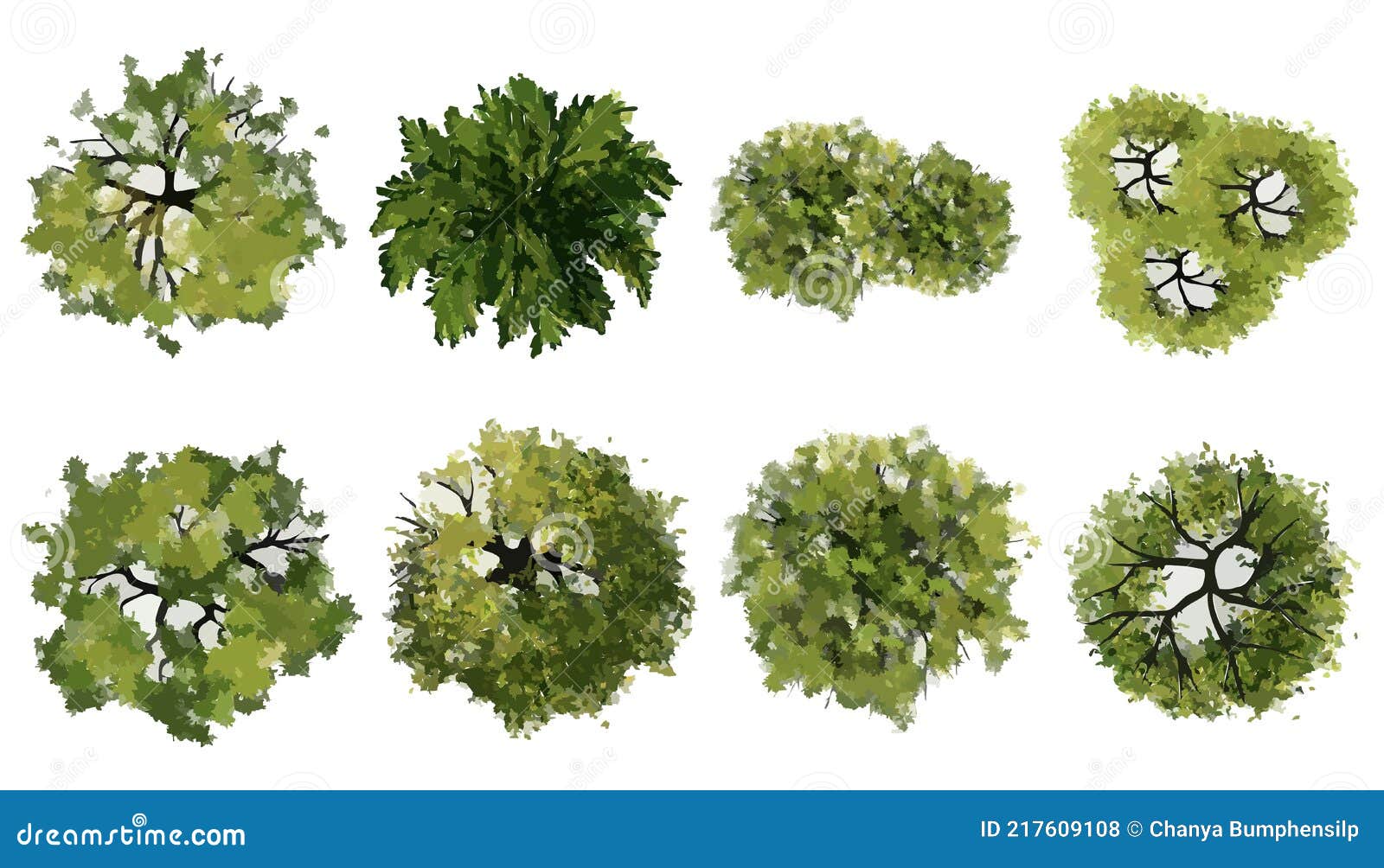Abstract Green Tree Top View Stock Illustration - Illustration of ...