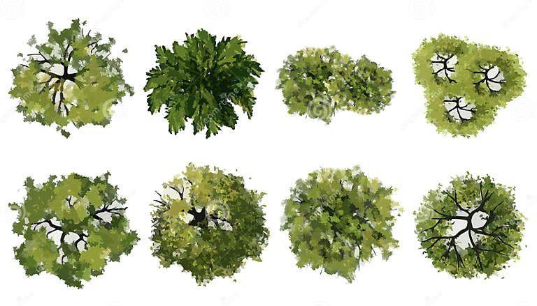 Abstract Green Tree Top View Stock Illustration - Illustration of ...