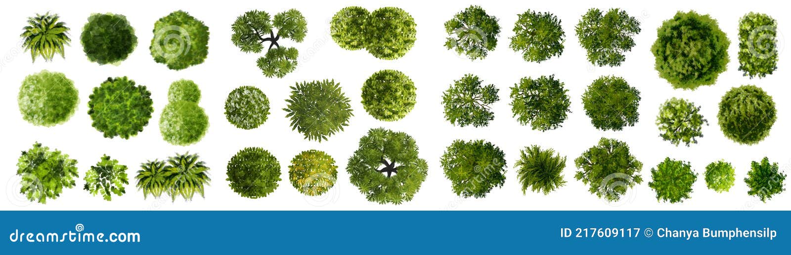 Tree Top View. Different Green Plants Map Top View Cartoon Items Recent ...