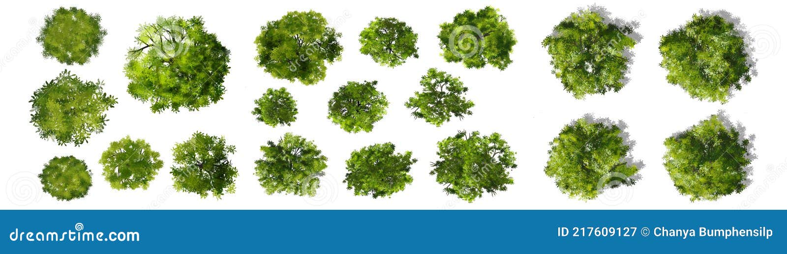 Tree Top View. Garden Plants And Bushes For Aerial Planning, Birdseye ...