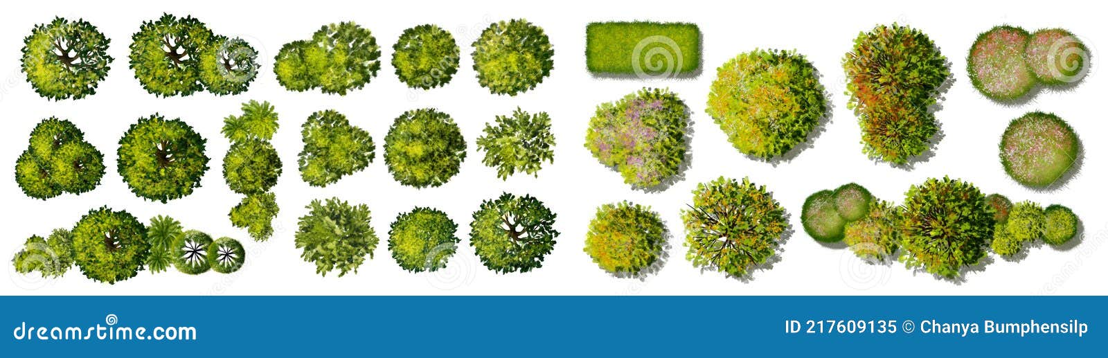 Tree Top View. Garden Plants And Bushes For Aerial Planning, Birdseye ...