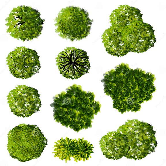 Abstract Green Tree Top View Stock Illustration - Illustration of paper ...