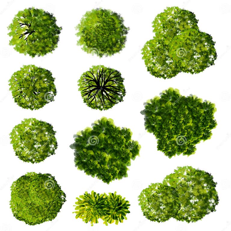 Abstract Green Tree Top View Stock Illustration - Illustration of paper ...