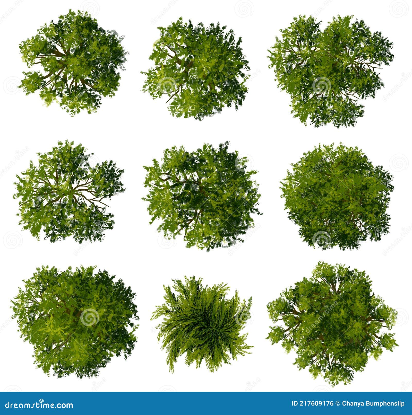 Abstract Green Tree Top View Stock Illustration - Illustration of ...