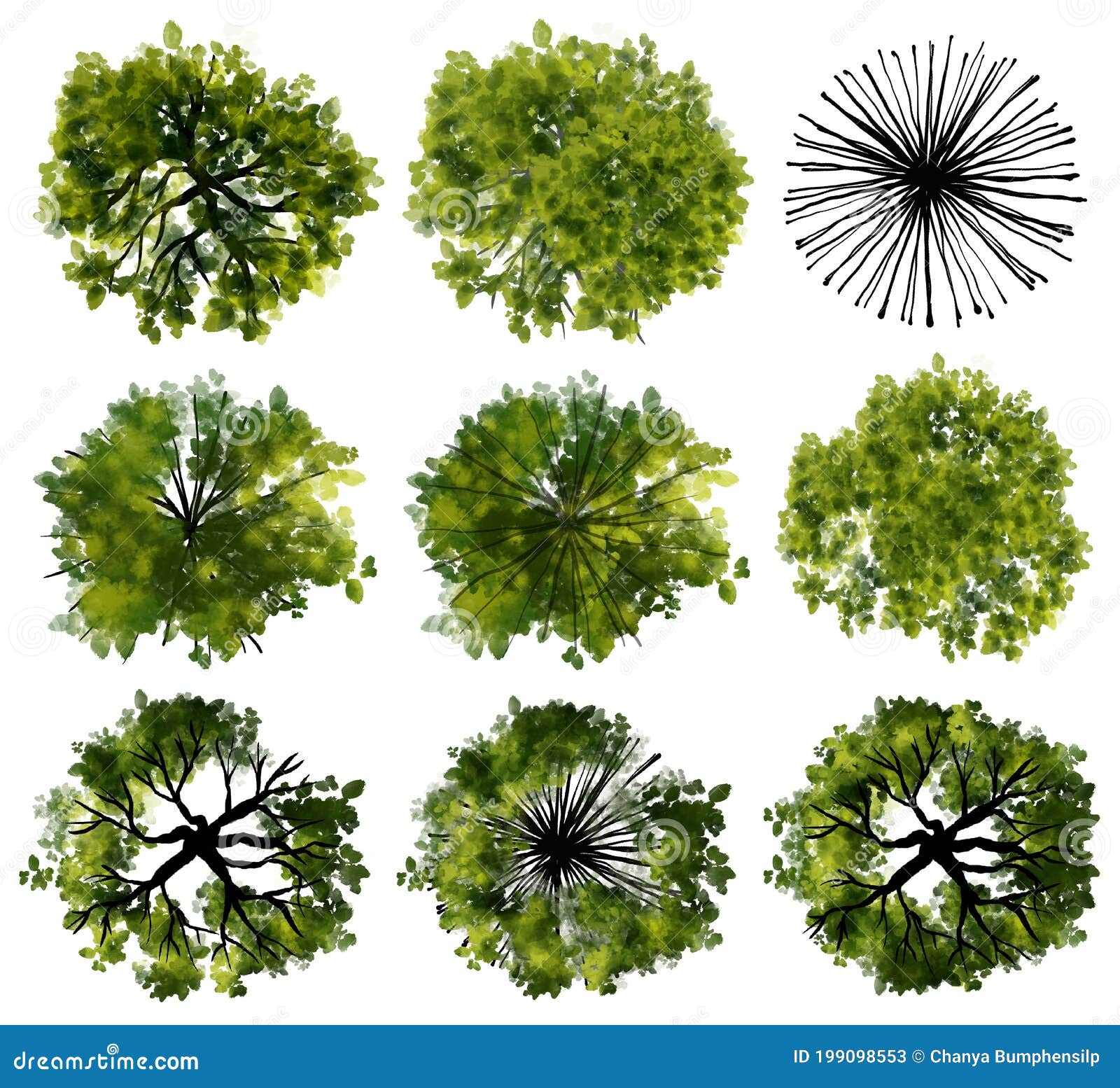 Watercolor tree top view stock illustration. Illustration of elements ...