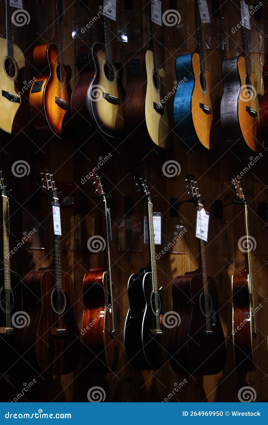 Collection of Acoustic Guitars Displayed in the Store. Stock Photo ...